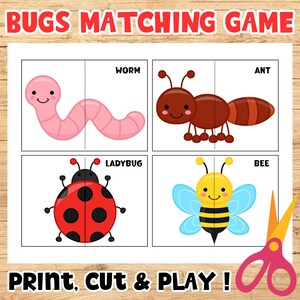 Bugs Insect Matching Game for Kids, Symmetry Matching Cards, Kids ...