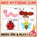 Bugs Insect Matching Game for Kids, Symmetry Matching Cards, Kids ...
