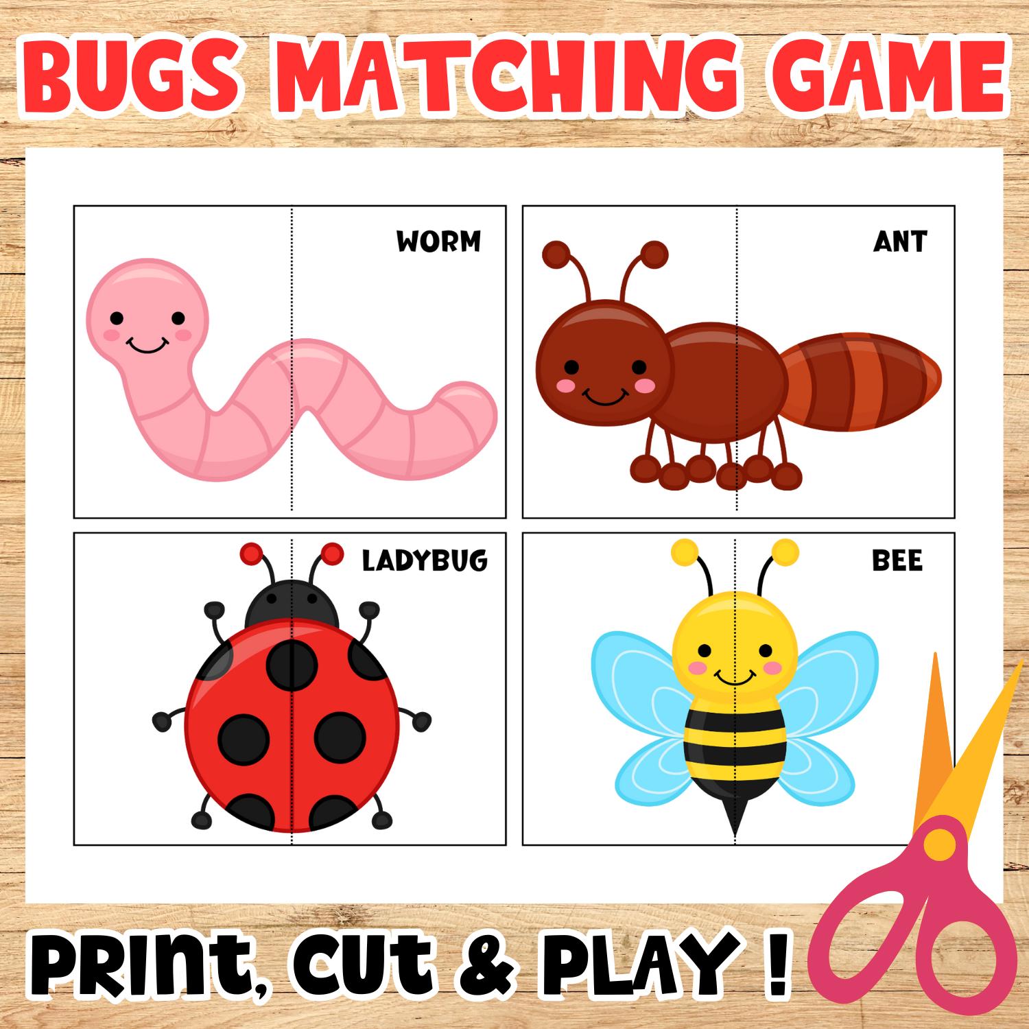 Bugs Insect Matching Game for Kids, Symmetry Matching Cards, Kids ...