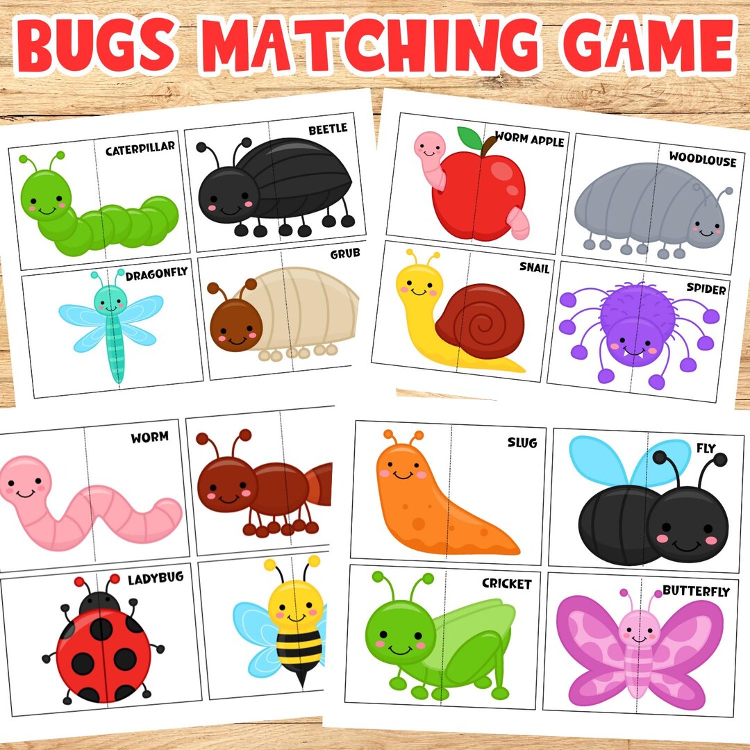 Bugs Insect Matching Game for Kids, Symmetry Matching Cards, Kids ...