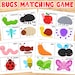 Bugs Insect Matching Game for Kids, Symmetry Matching Cards, Kids ...