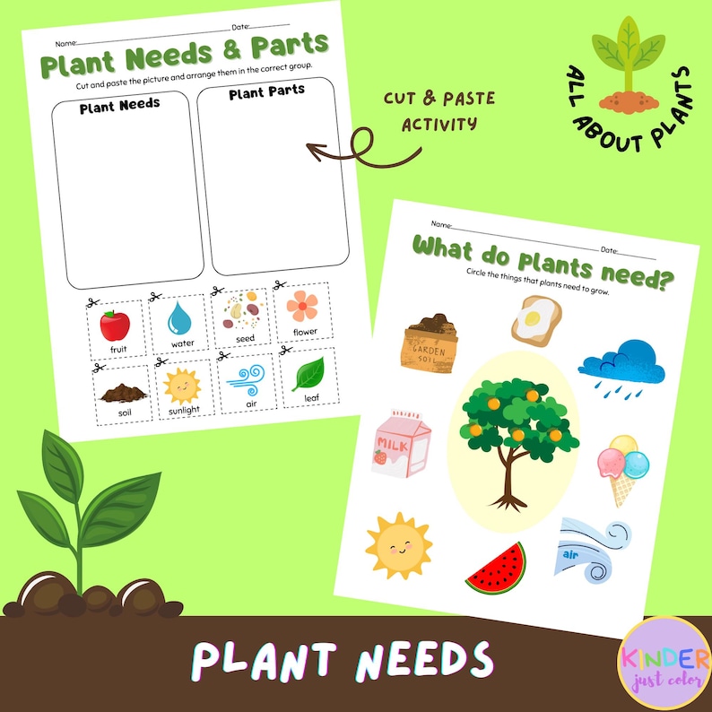 Plant Life Cycle & Parts: Science Activities (PDF Download) - Etsy