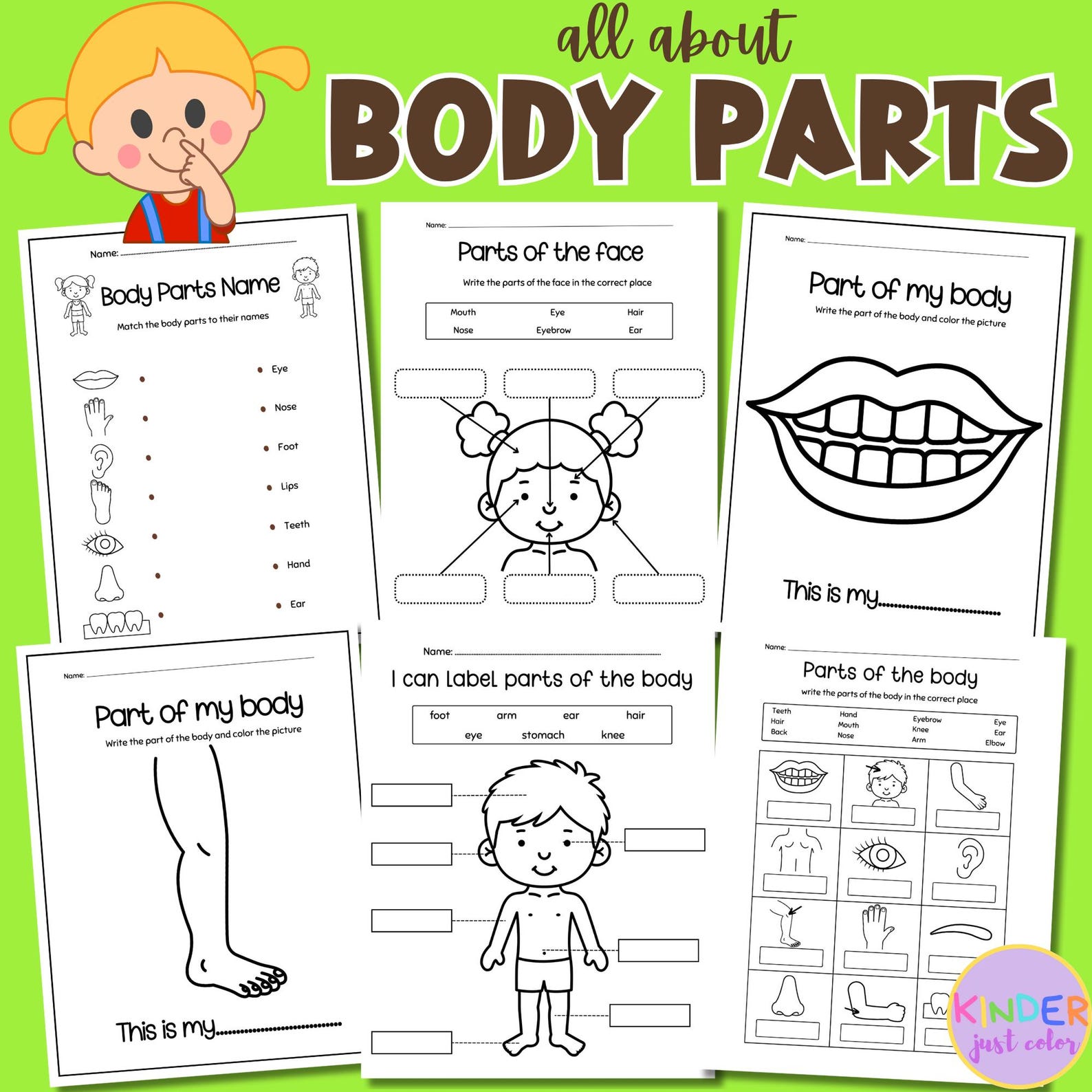 Body Parts Worksheet, Body &face Parts Matching, Learn My Body Part ...