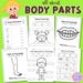Body Parts Worksheet: Human Anatomy Learning Activity (printable PDF ...