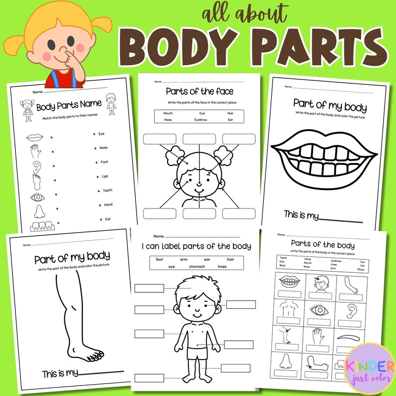 Body Parts Worksheet: Human Anatomy Learning Activity (printable PDF ...