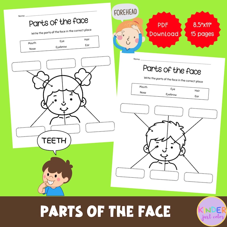 Body Parts Worksheet: Human Anatomy Learning Activity (printable PDF ...