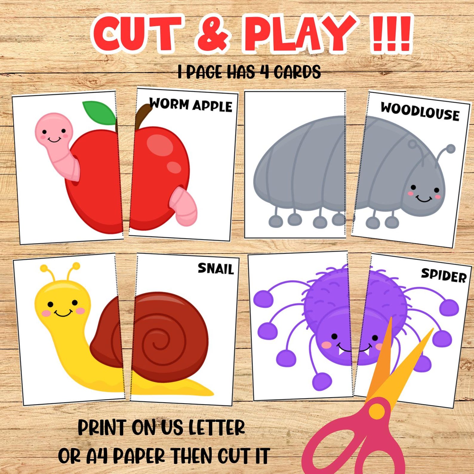 Bugs Insect Matching Game for Kids, Symmetry Matching Cards, Kids ...