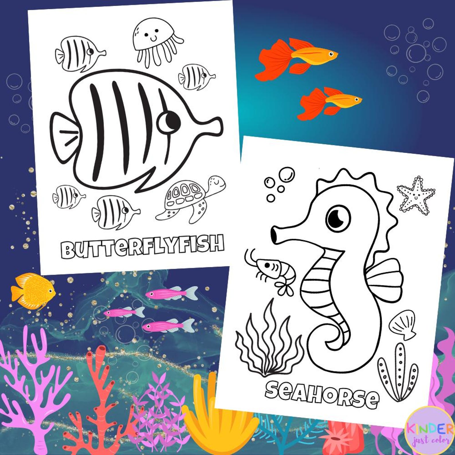 Sea Life Ocean Animal Coloring Pages, Marine Animal Coloring Sheet ...