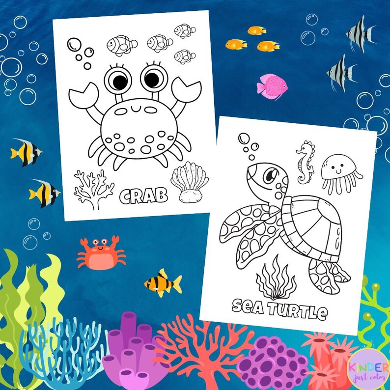 Ocean Animal Coloring Pages: Sea Life for Preschool (PDF) - Etsy