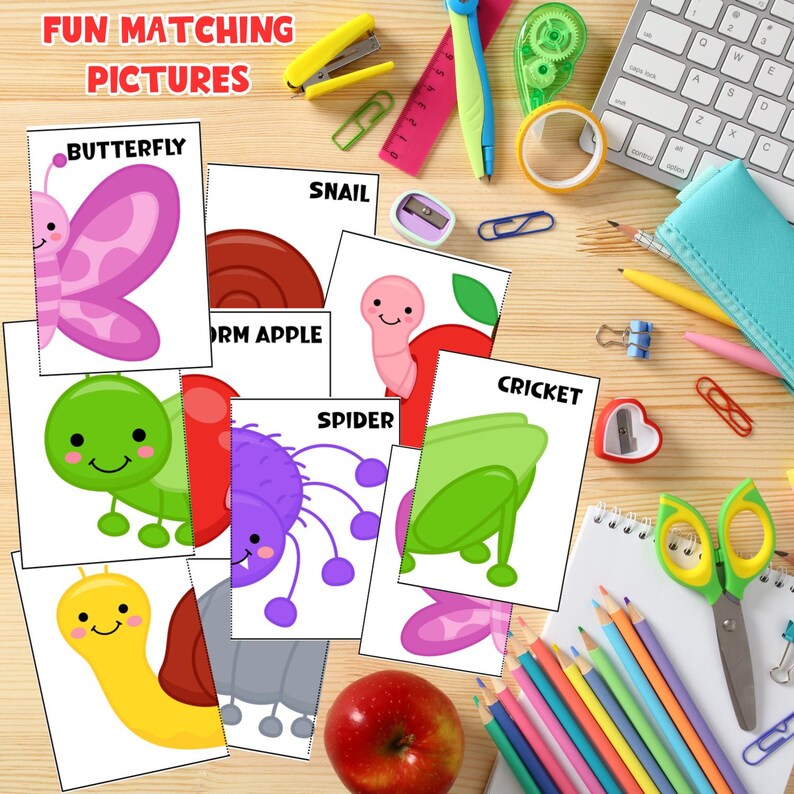 Bugs Insect Matching Game for Kids, Symmetry Matching Cards, Kids ...