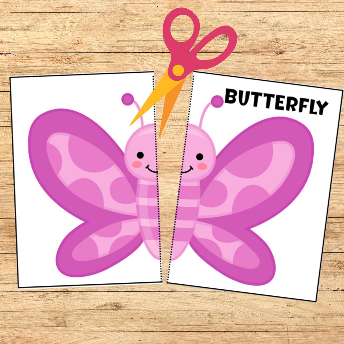 Bugs Insect Matching Game for Kids, Symmetry Matching Cards, Kids ...