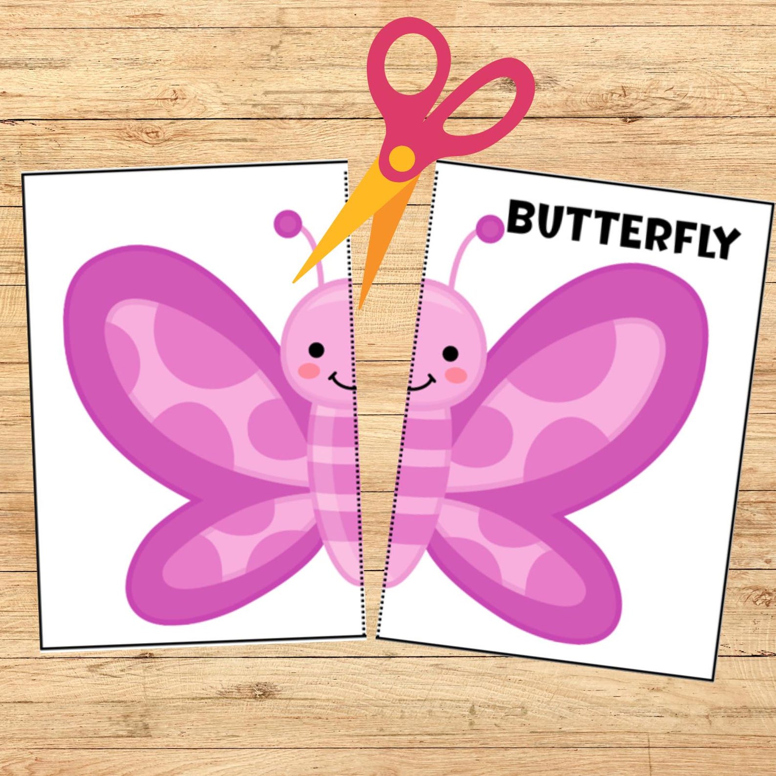 Bugs Insect Matching Game for Kids, Symmetry Matching Cards, Kids ...