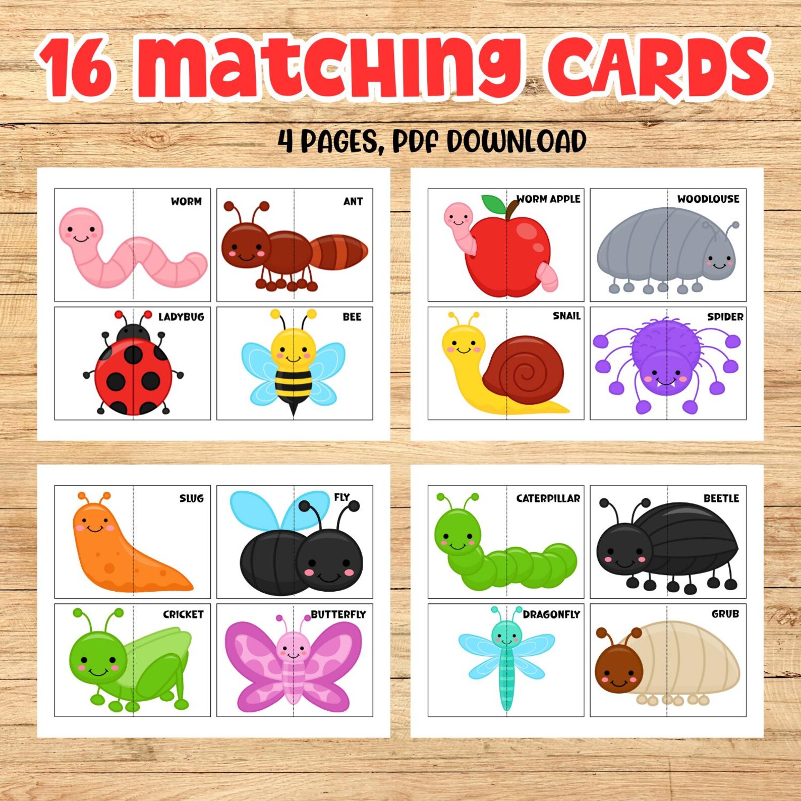 Bugs & Insects Matching Game: Vocabulary Flashcards (PDF) - Etsy