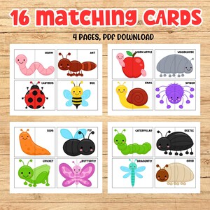 Bugs Insect Matching Game for Kids, Symmetry Matching Cards, Kids ...