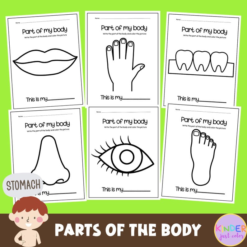 Body Parts Worksheet: Human Anatomy Learning Activity (printable PDF ...