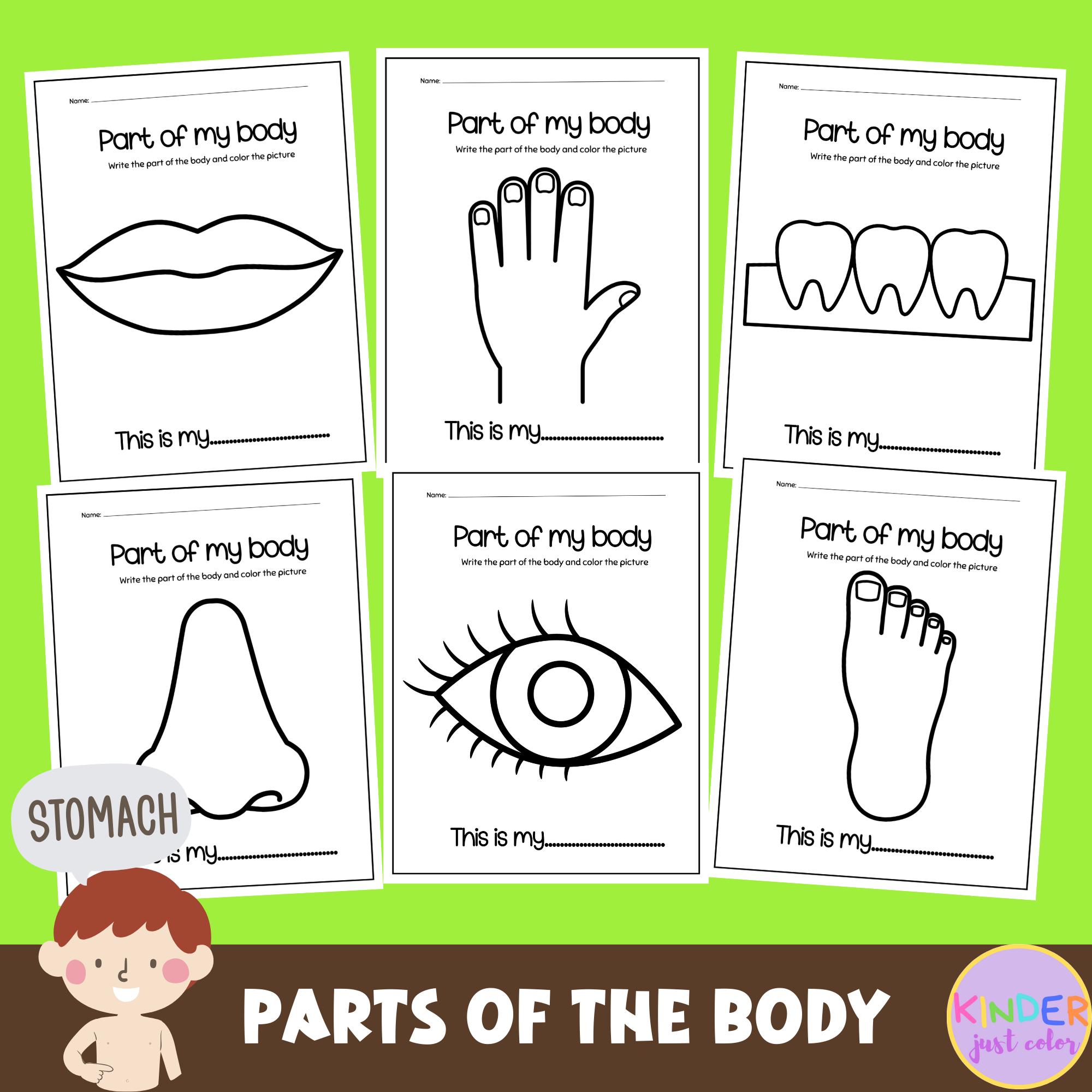 Body Parts Worksheet, Body &face Parts Matching, Learn My Body Part ...