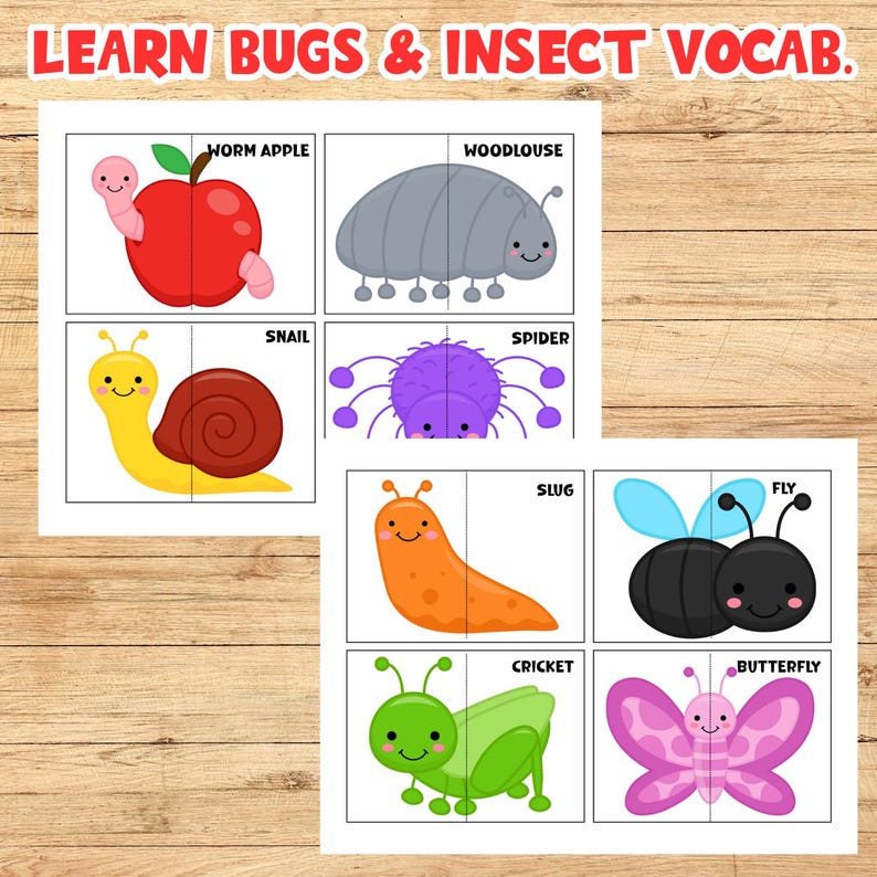 Bugs Insect Matching Game for Kids, Symmetry Matching Cards, Kids ...