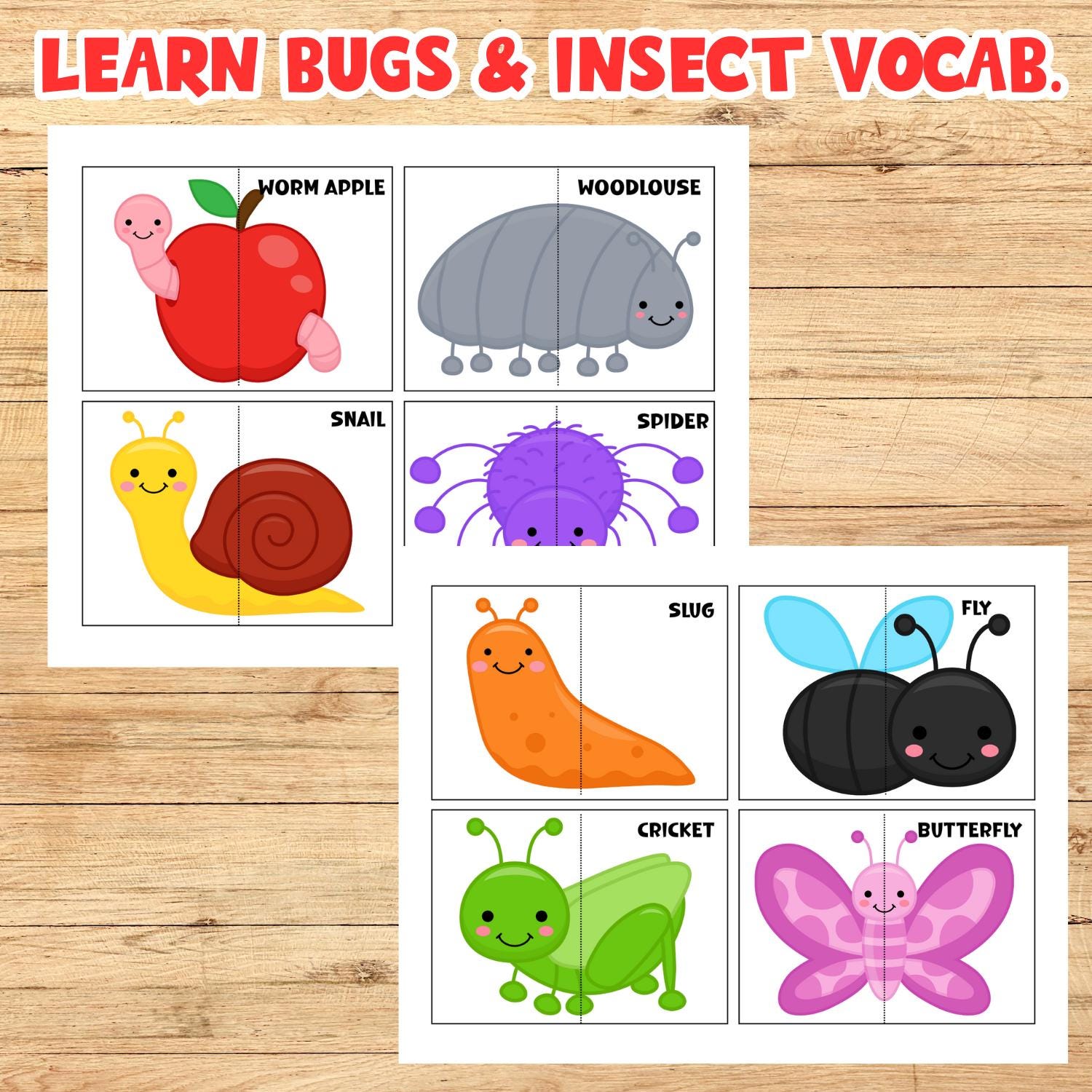 Bugs Insect Matching Game for Kids, Symmetry Matching Cards, Kids ...