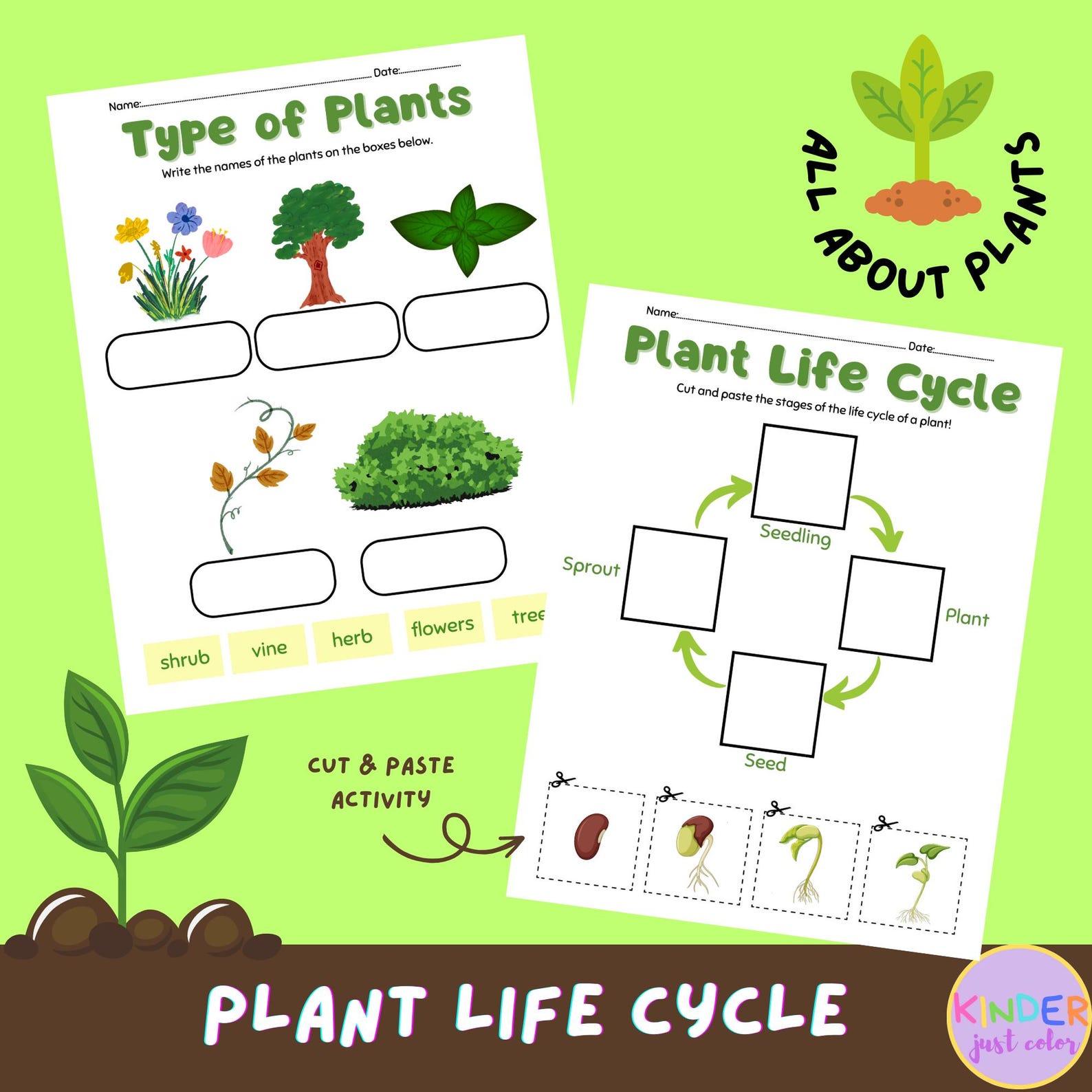 Plant Life Cycle & Parts: Science Activities (PDF Download) - Etsy