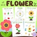 Flower Life Cycle & Plant Parts Printable: Preschool Science (PDF) - Etsy