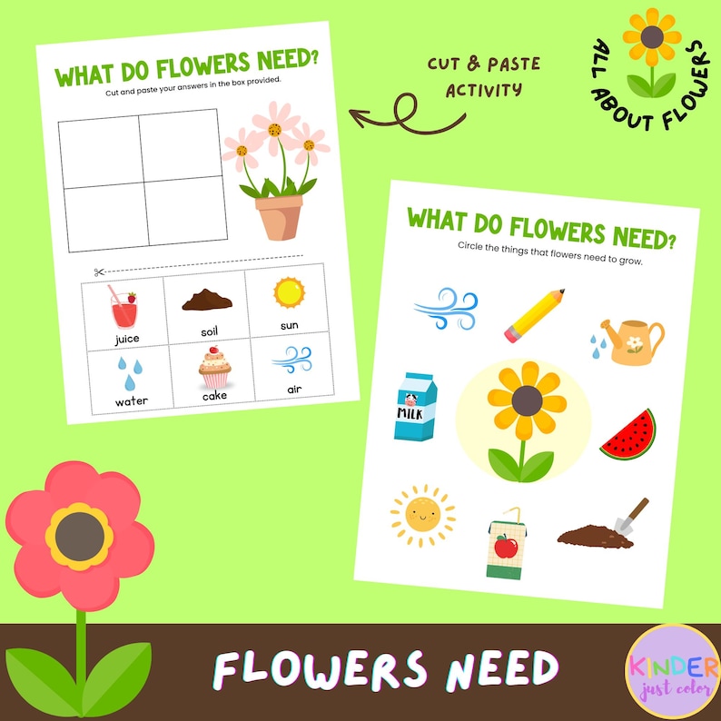 All About Flowers, Parts of Plant, Life Cycle of Flower, Plant Needs ...