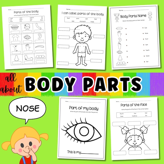 My Body Worksheets Human Body System Worksheet Template