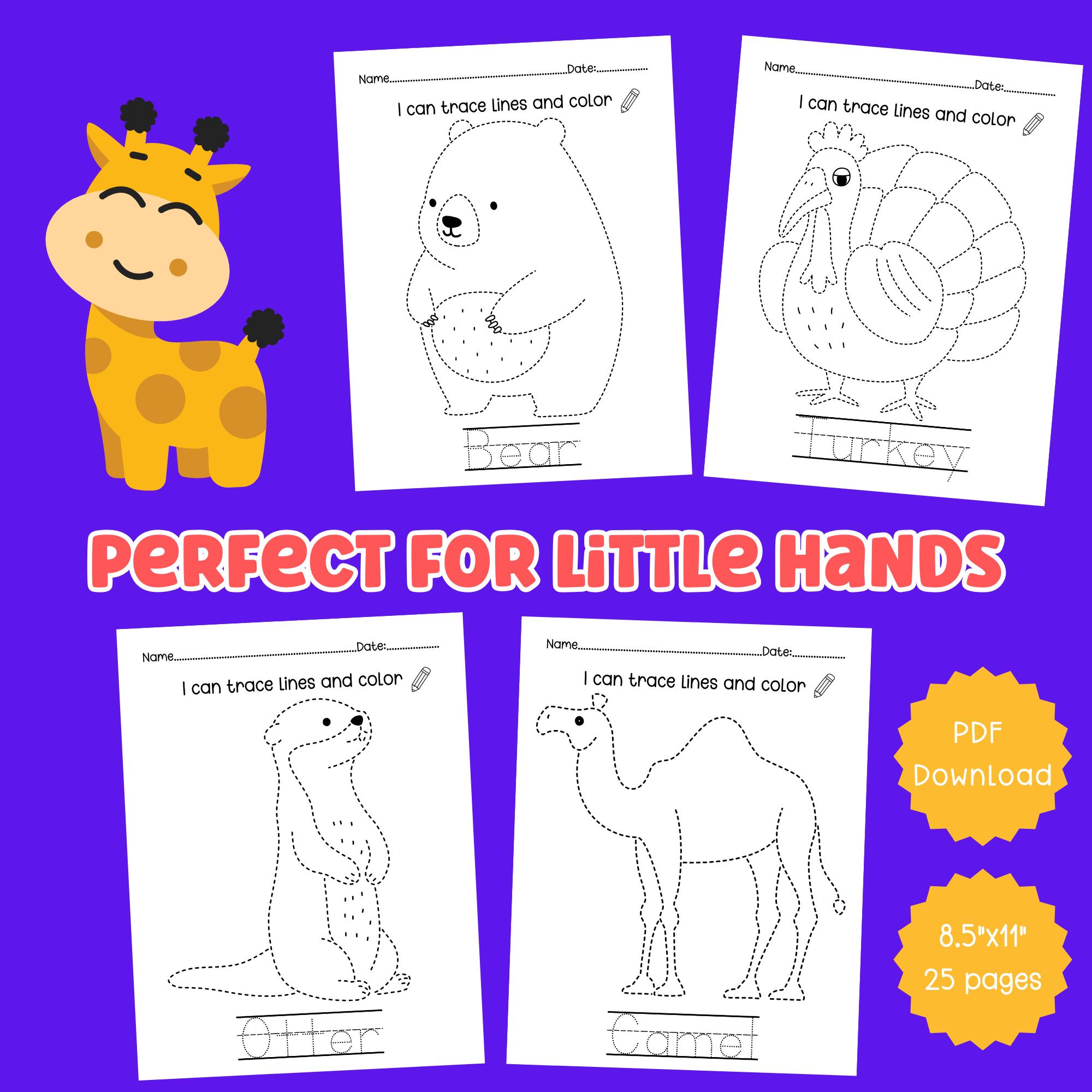Animal Line Tracing & Coloring Worksheet, Line Trace for Preschool ...