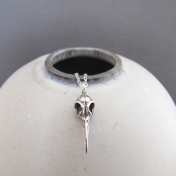 Hummingbird Skull - Etsy