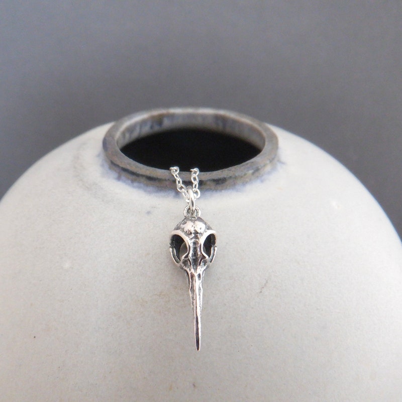 Hummingbird Skull - Etsy