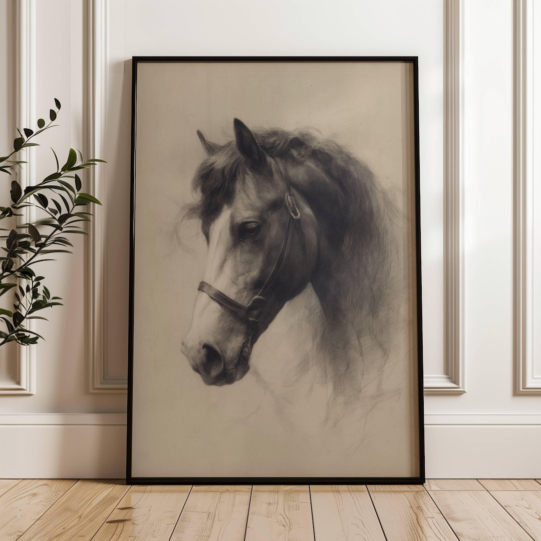 Vintage Horse Pencil Sketch | Equestrian Enthusiast Wall Art Print ...
