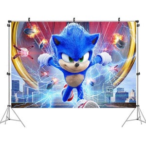 High Quality 7ft X 5ft Sonic Backdrop - Etsy