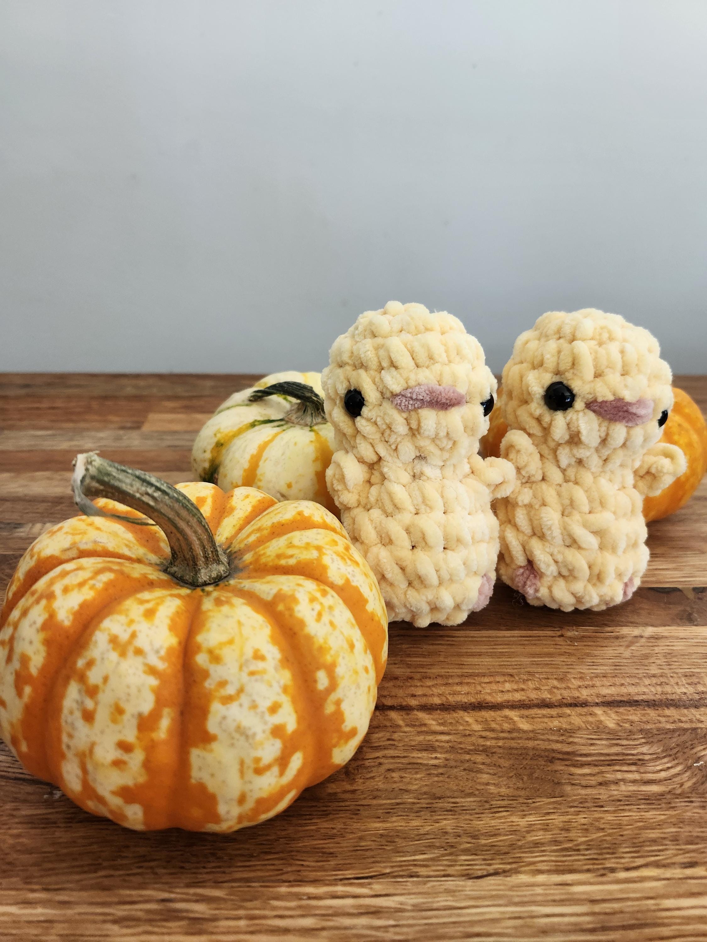 Cute Baby Chick Crochet Pattern PDF Printable Amigurumi - Etsy