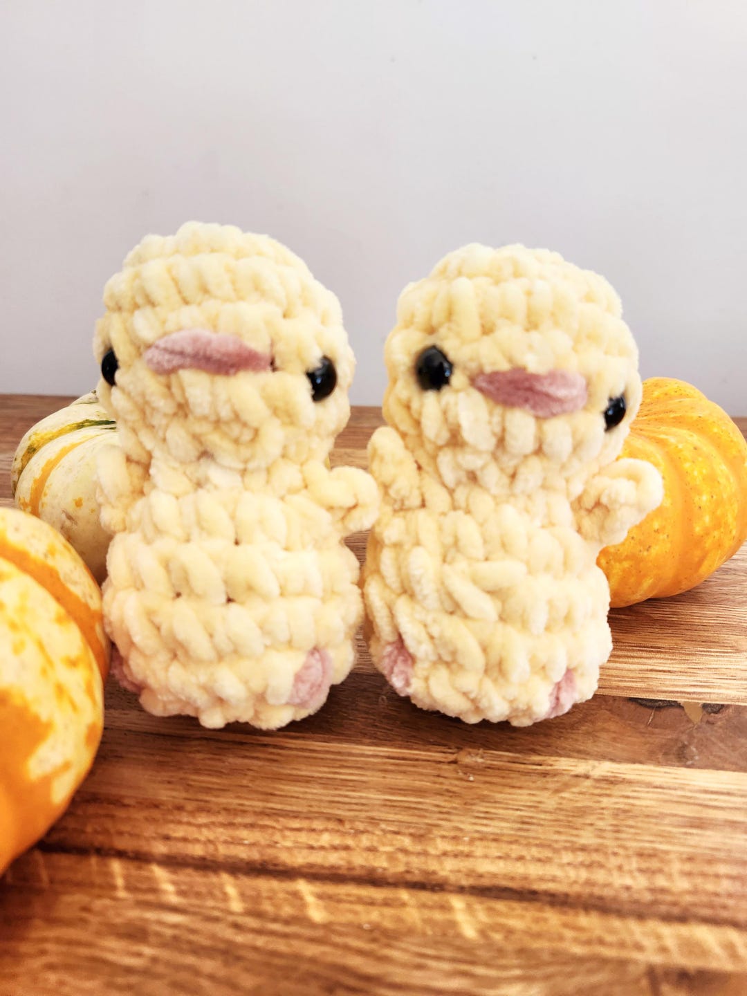 Cute Baby Chick Crochet Pattern PDF Printable Amigurumi - Etsy