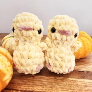 Cute Baby Chick Crochet Pattern PDF Printable Amigurumi - Etsy