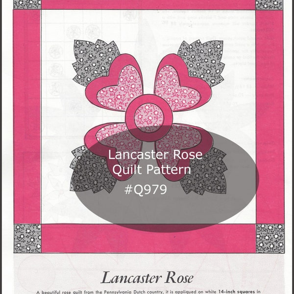 Lancaster Rose - Etsy