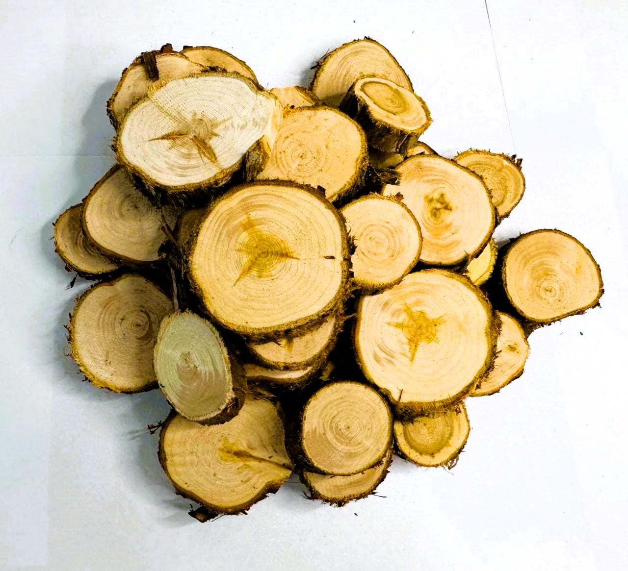 35 Small Juniper Tree Slices | Small Wooden Slices | Rustic Wood Slices ...