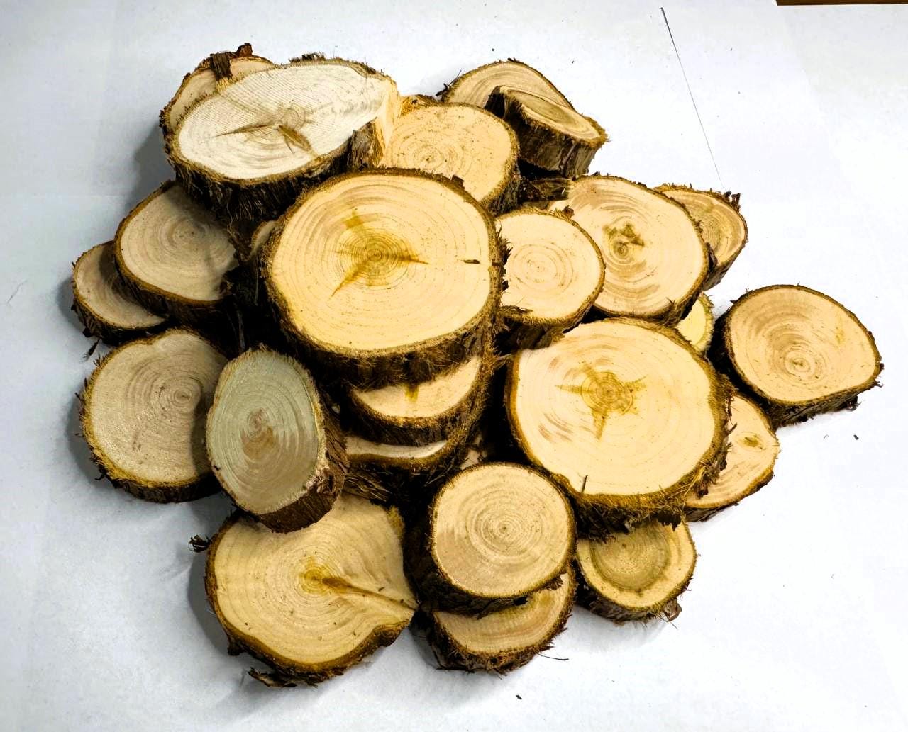 35 Small Juniper Tree Slices | Small Wooden Slices | Rustic Wood Slices ...