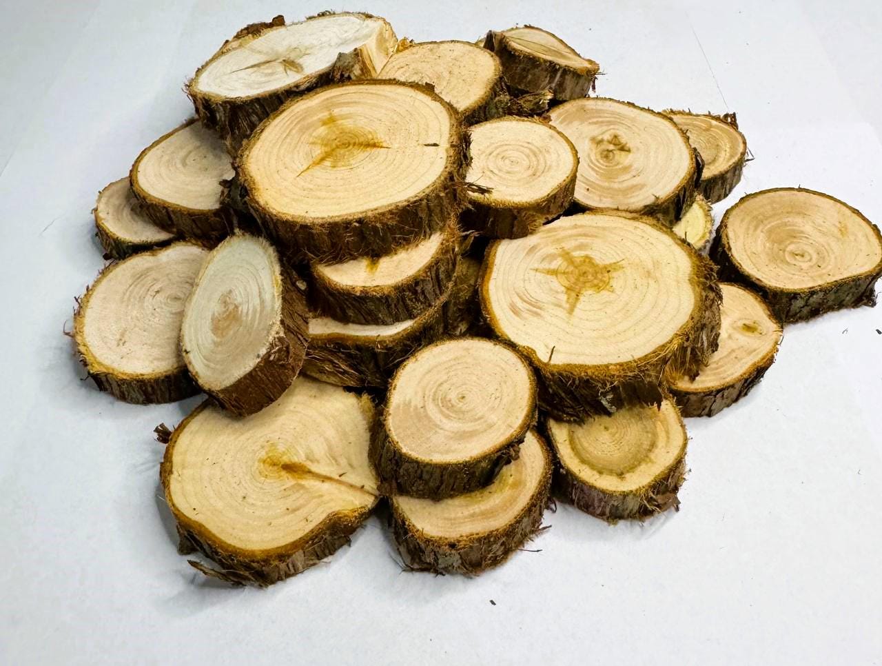 35 Small Juniper Tree Slices | Small Wooden Slices | Rustic Wood Slices ...