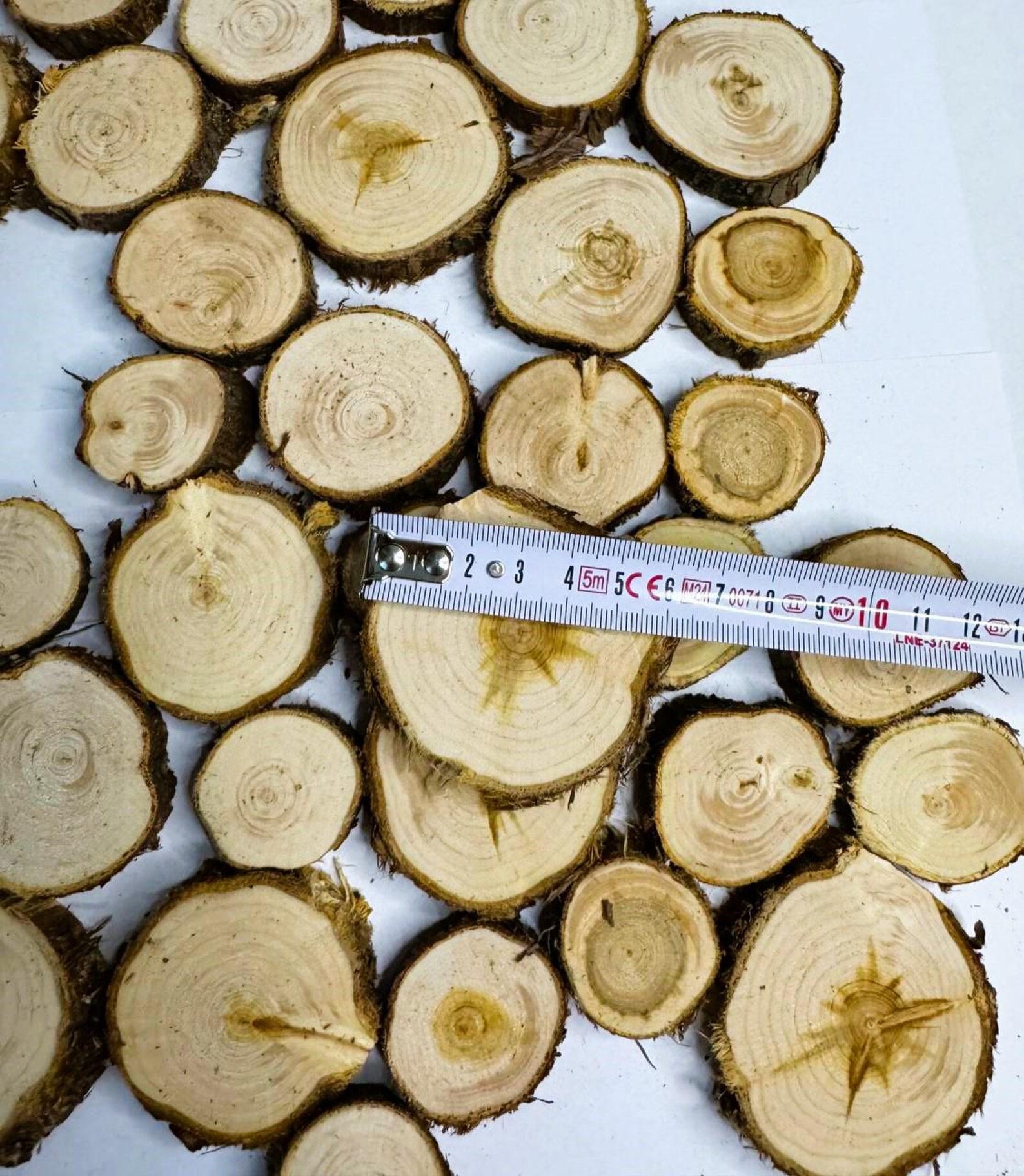 35 Small Juniper Tree Slices | Small Wooden Slices | Rustic Wood Slices ...