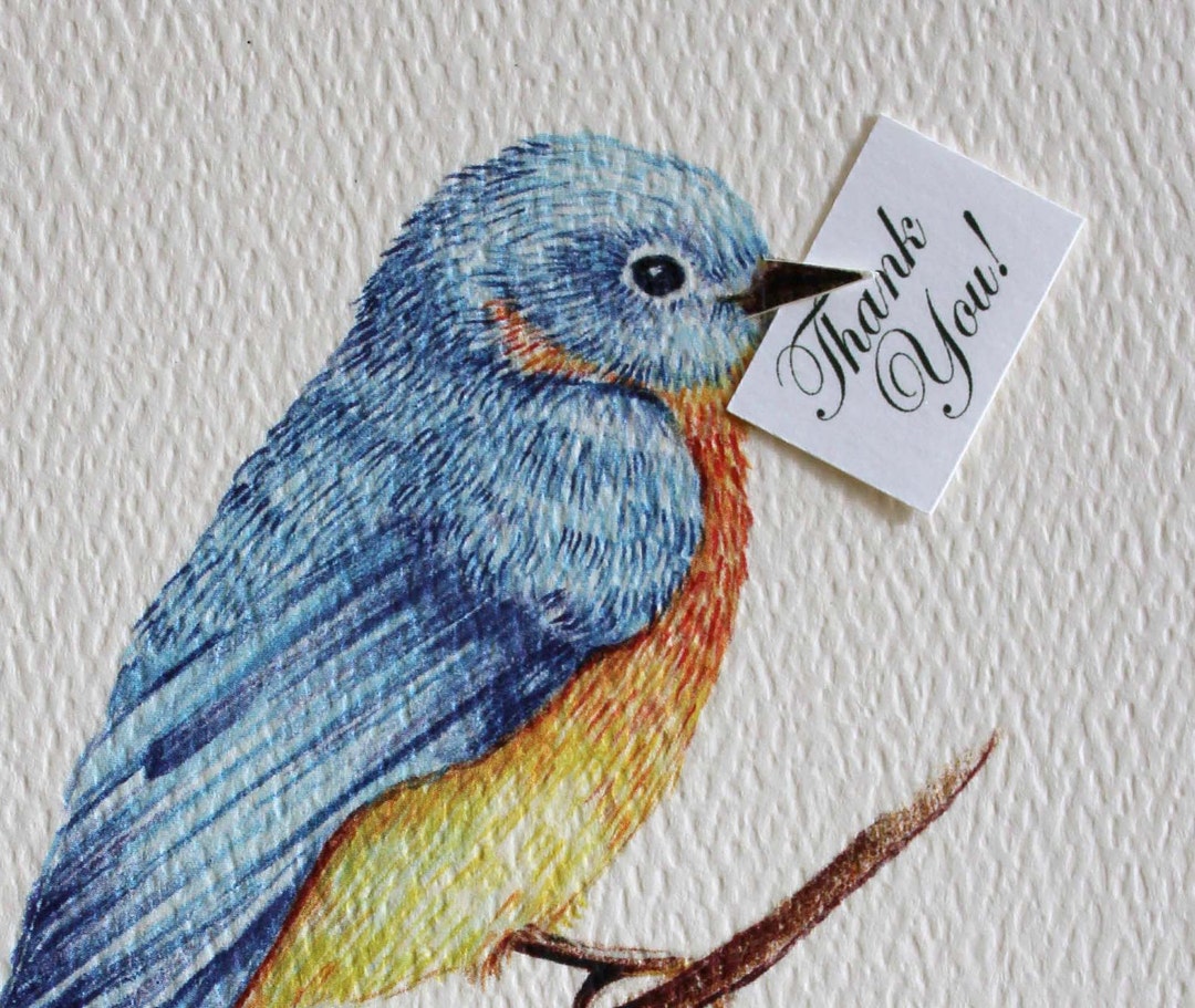 Blue Bird of Happiness Thank You Cards. Set of 50 - Etsy