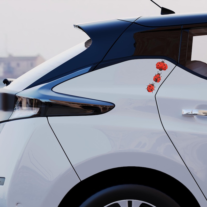 Ladybug Decal - Etsy