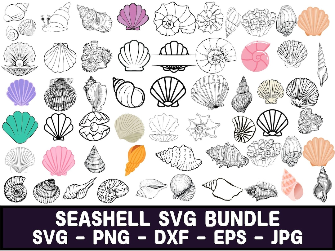 Seashell Svg, Beach Svg, Sea Shell Svg, Seashell Clipart, Seashell, Sea ...