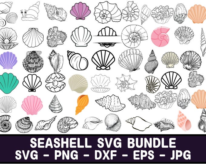 Seashell SVG/ Shell Svg/ Seashell Clipart/ Clam Svg/ Scallop Svg/ Ocean ...