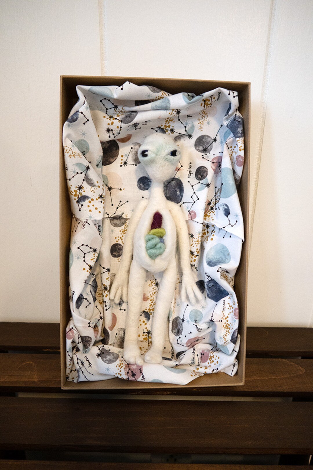 Needle-felted Alien Specimen OOAK Doll for Oddities and Curio Cabinet ...