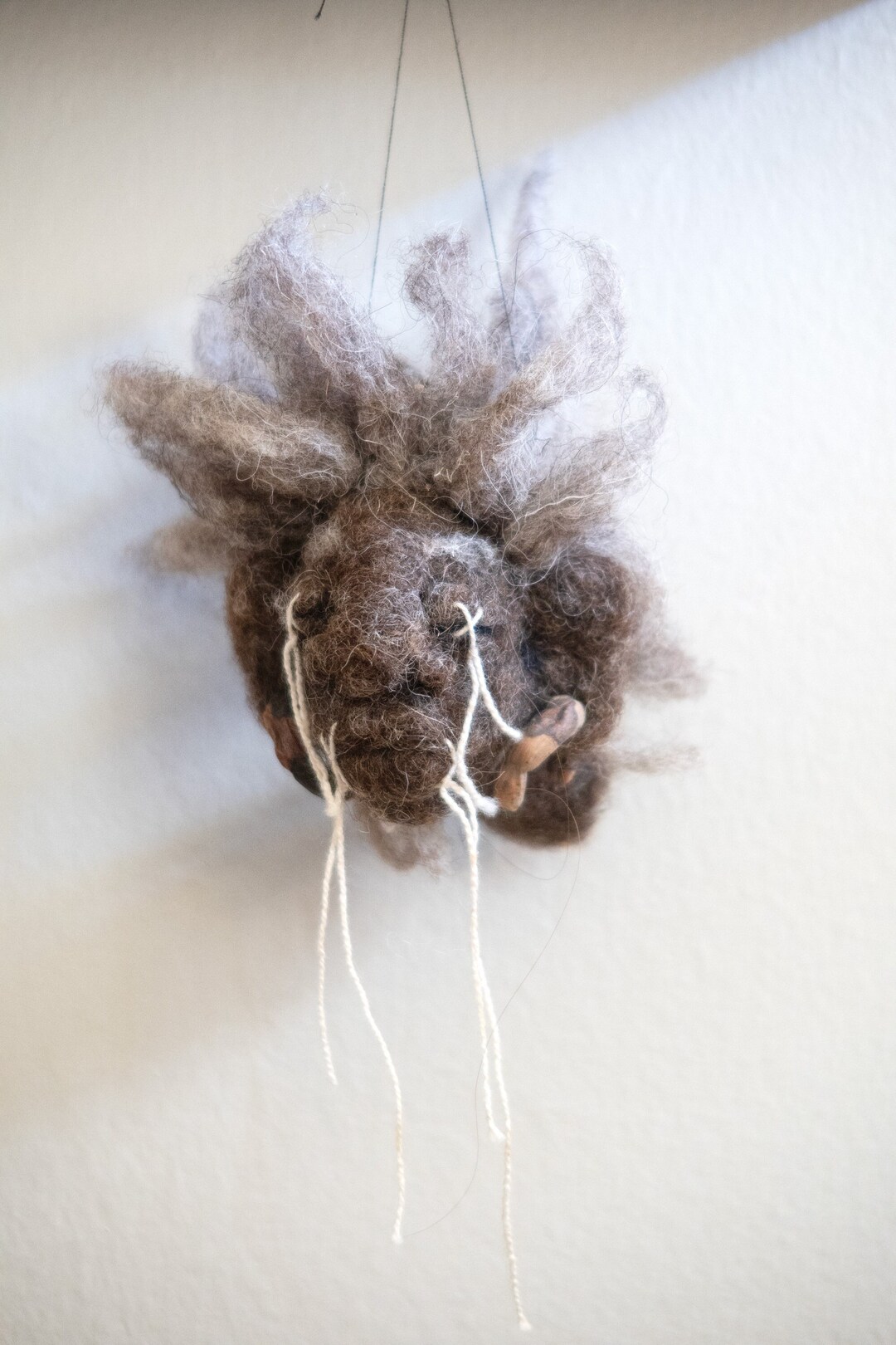 Creepy Cute Shrunken Head Curiosities Oddities Cabinet Cottagecore Room ...