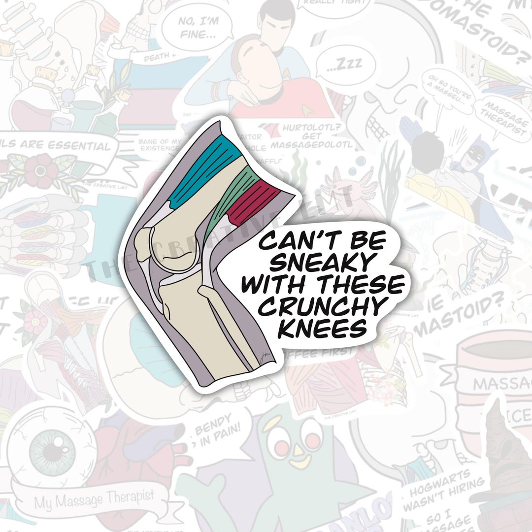 Crunchy Knee Anatomy Vinyl Sticker, Anatomy Stickers, Massage Therapy ...