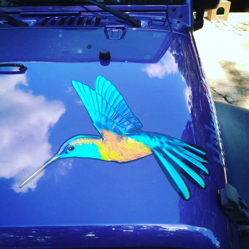 Hood Wrap Decal - Etsy