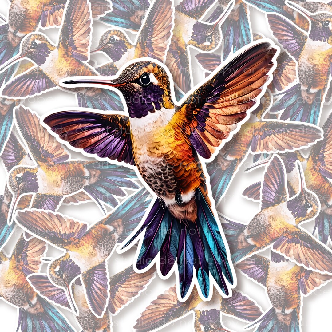Hummingbird Weatherproof Vinyl Sticker - Unique, Fun Sticker for Car ...