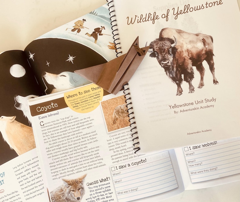 Yellowstone National Park Unit Study- Elementary Homeschool- Math ...