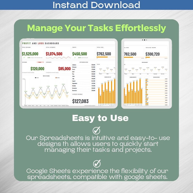 Profit and Loss Dashboard Template, Editable Google Sheets, Digital Download, Easy Financial ...